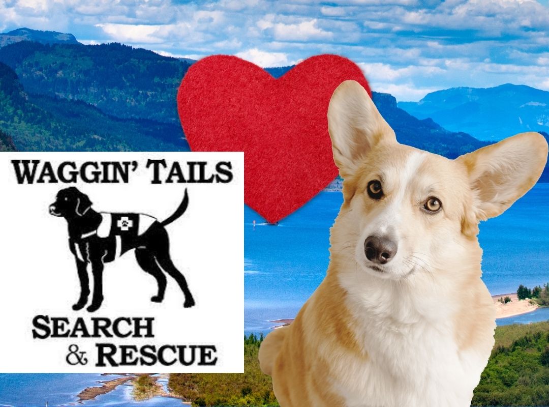 Annual Giving Report - Secret Aardvark